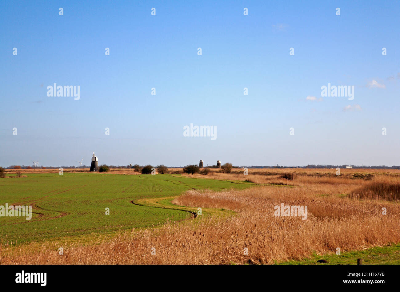 A landscape by the River Bure on the Norfolk Broads with derelict ...