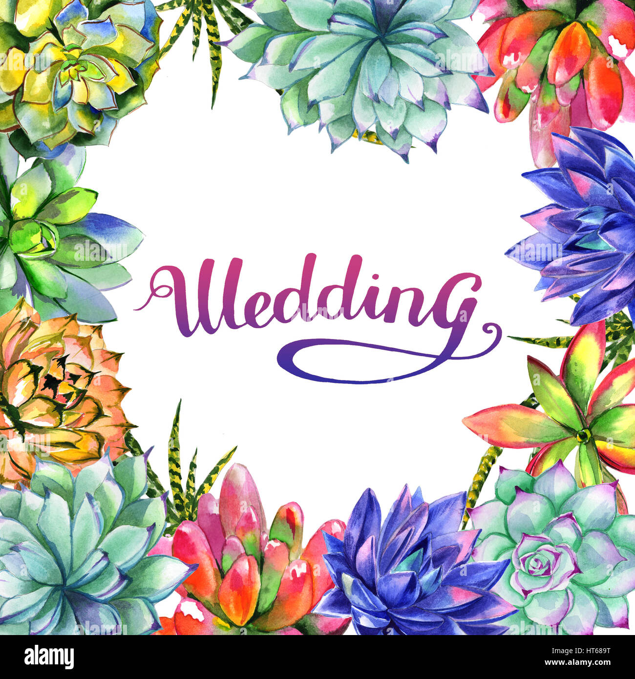 Wildflower succulentus flower frame in a watercolor style isolated ...