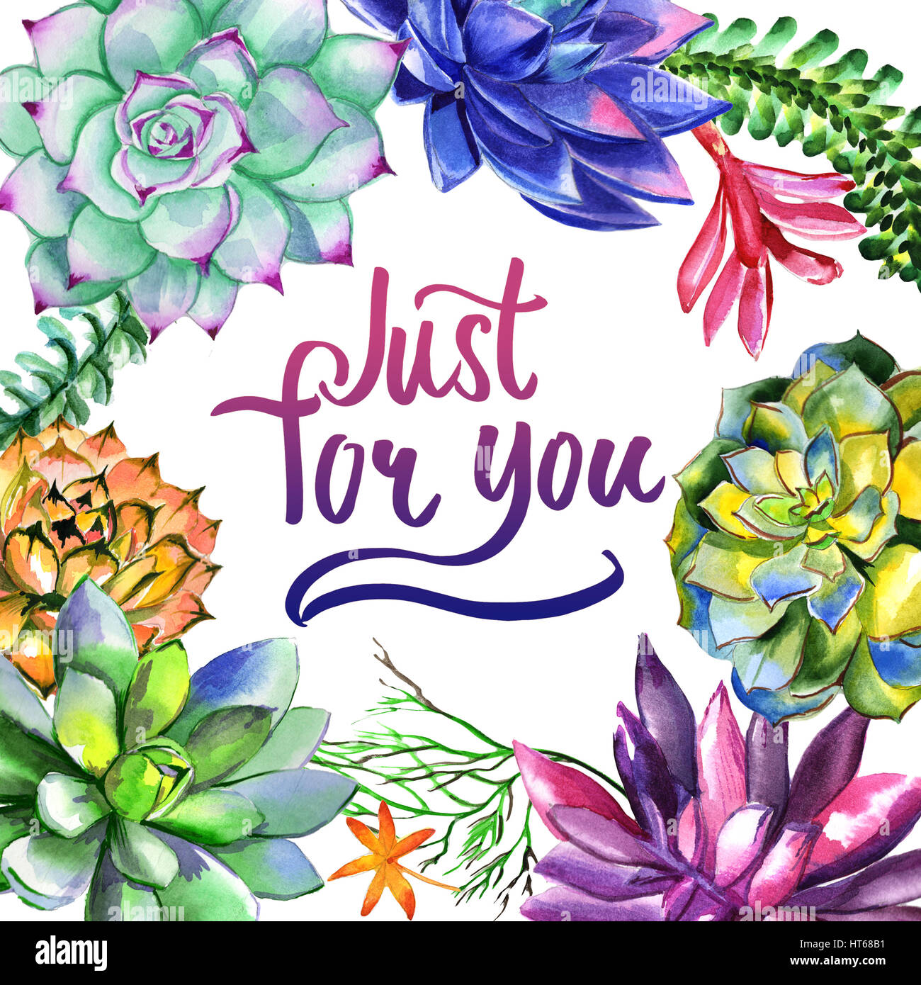 Wildflower succulentus flower frame in a watercolor style isolated ...