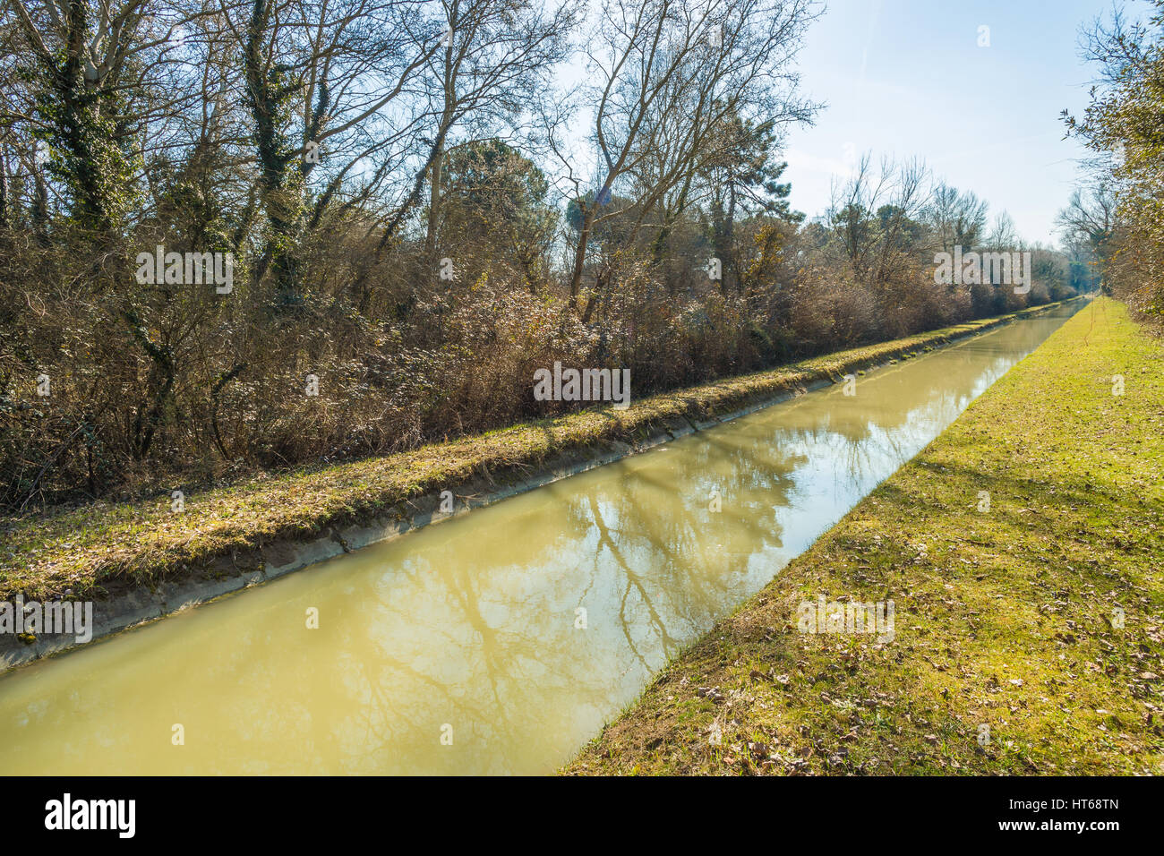 Water flowing in a channel through green pinewood Stock Photo - Alamy