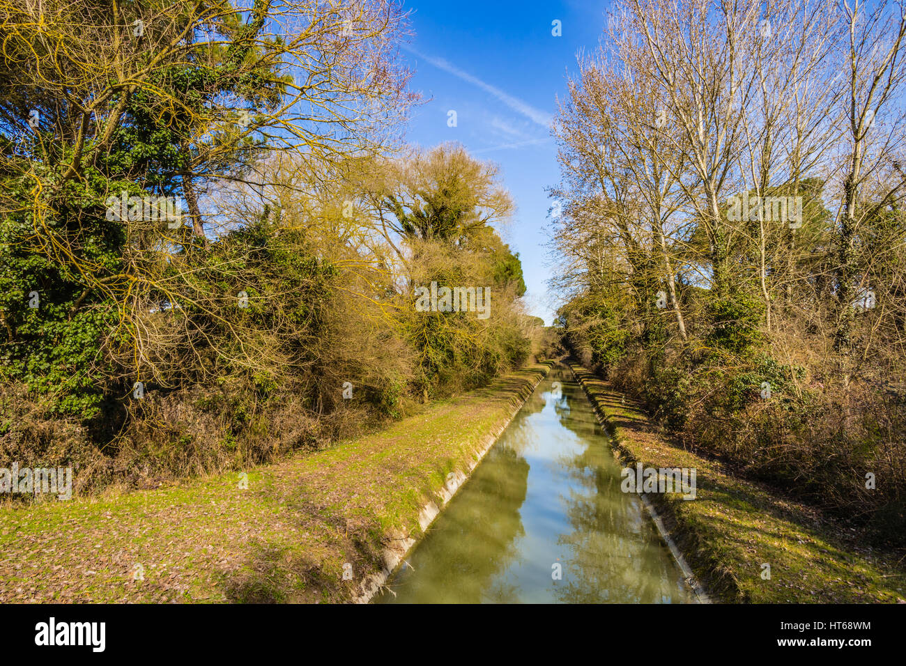 Water flowing in a channel through green pinewood Stock Photo - Alamy