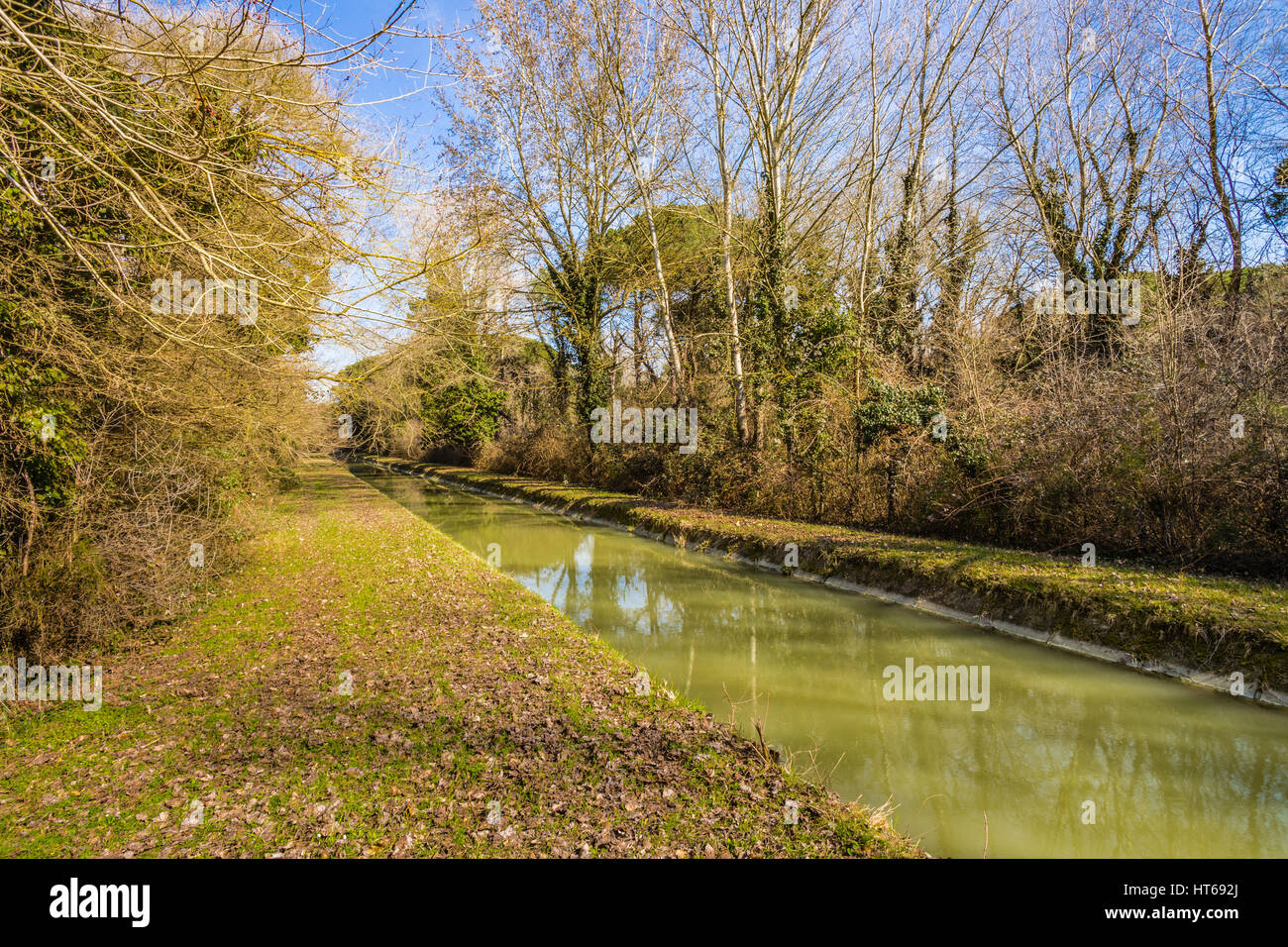 Water flowing in a channel through green pinewood Stock Photo - Alamy