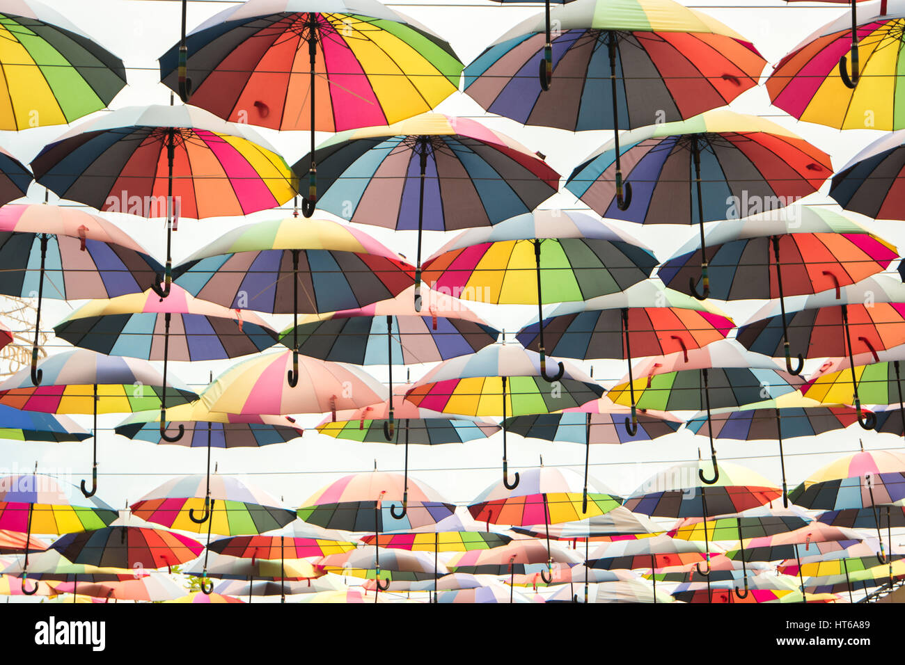 Many colorful umbrellas. Umbrellas on white background. Palette of joy ...