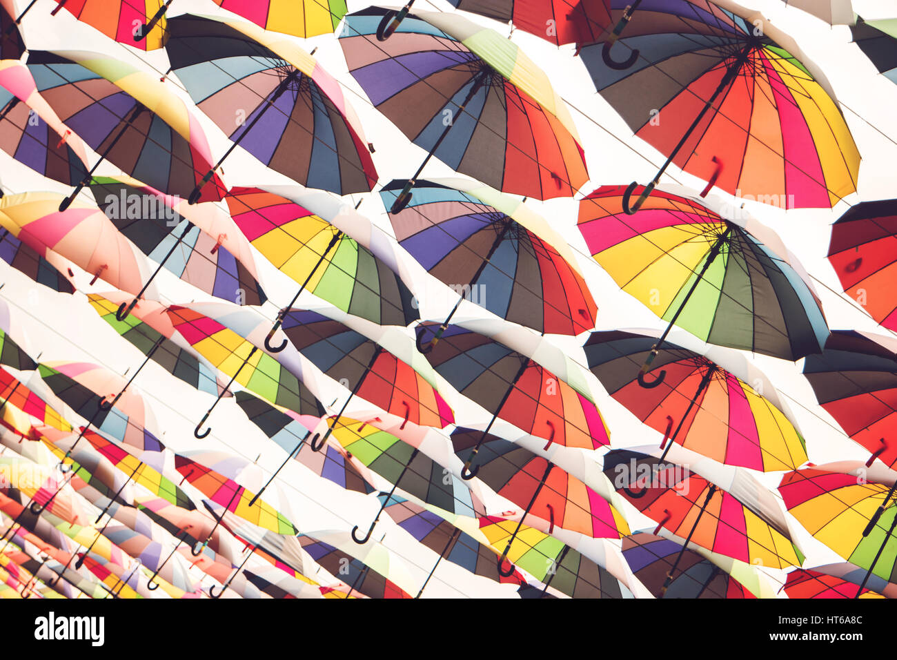 Many bright umbrellas. Open umbrellas isolated. Palette of good mood ...