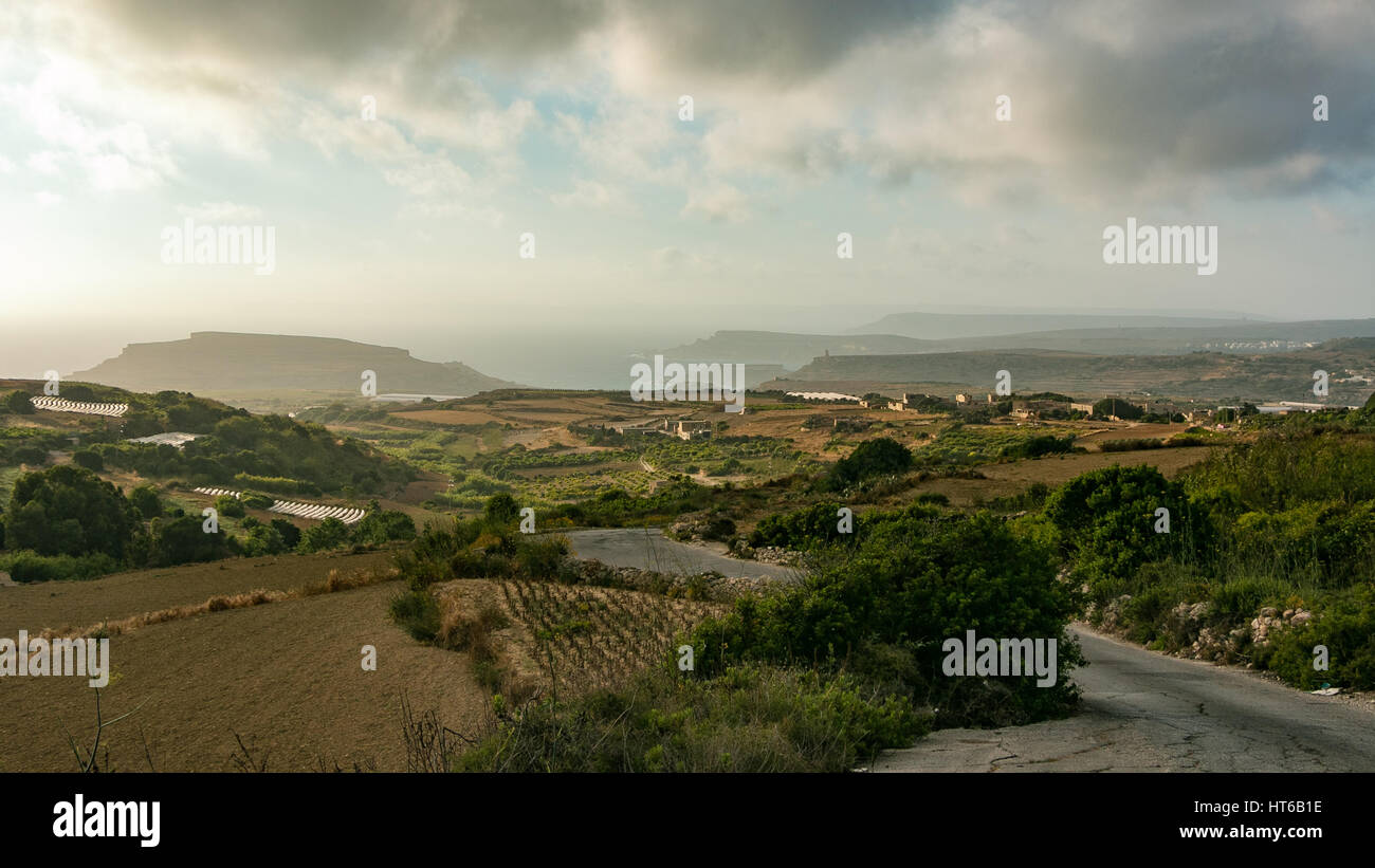 Driving through the countryside of Malta with vineyards Stock Photo - Alamy