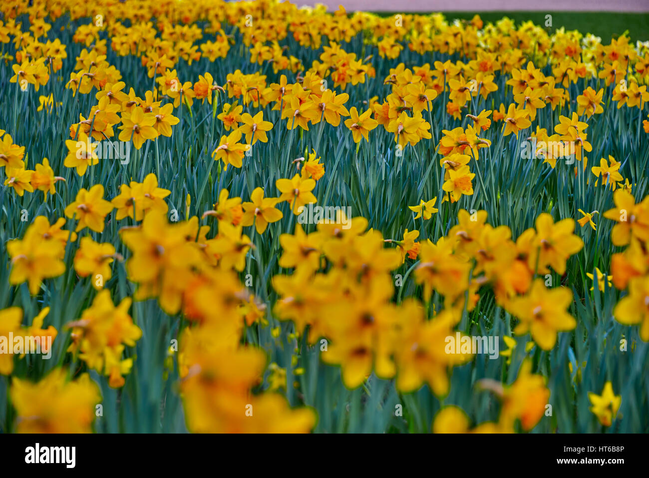 The National Maritime Museum (NMM) in Greenwich, London is the leading ...