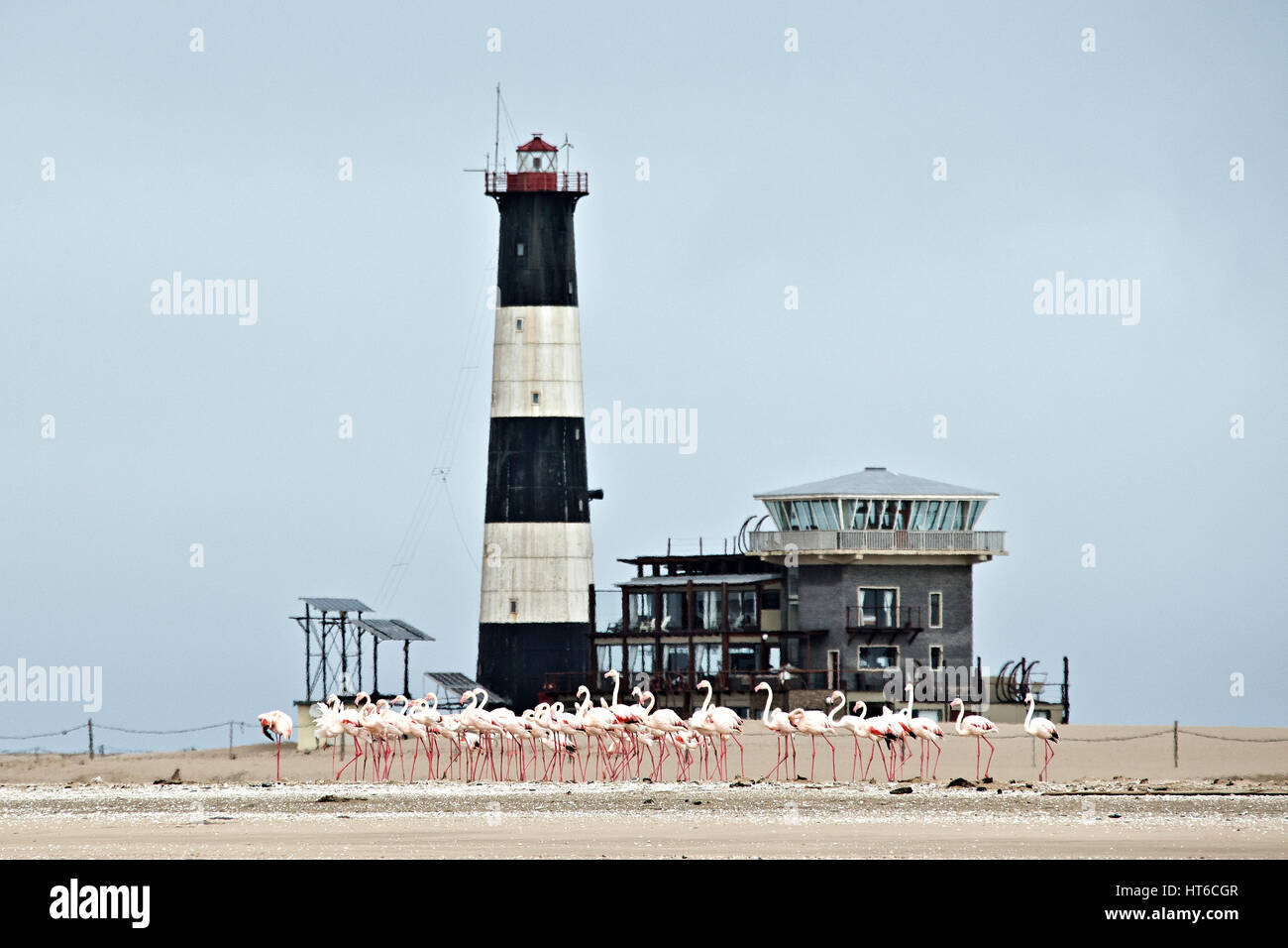 Flamingoes on the sand in front of the Pelican Point Lighthouse at ...