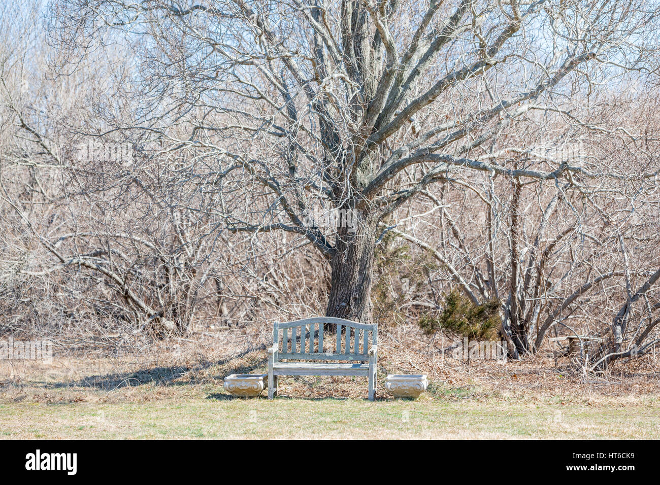 Old bench tree hi-res stock photography and images - Alamy