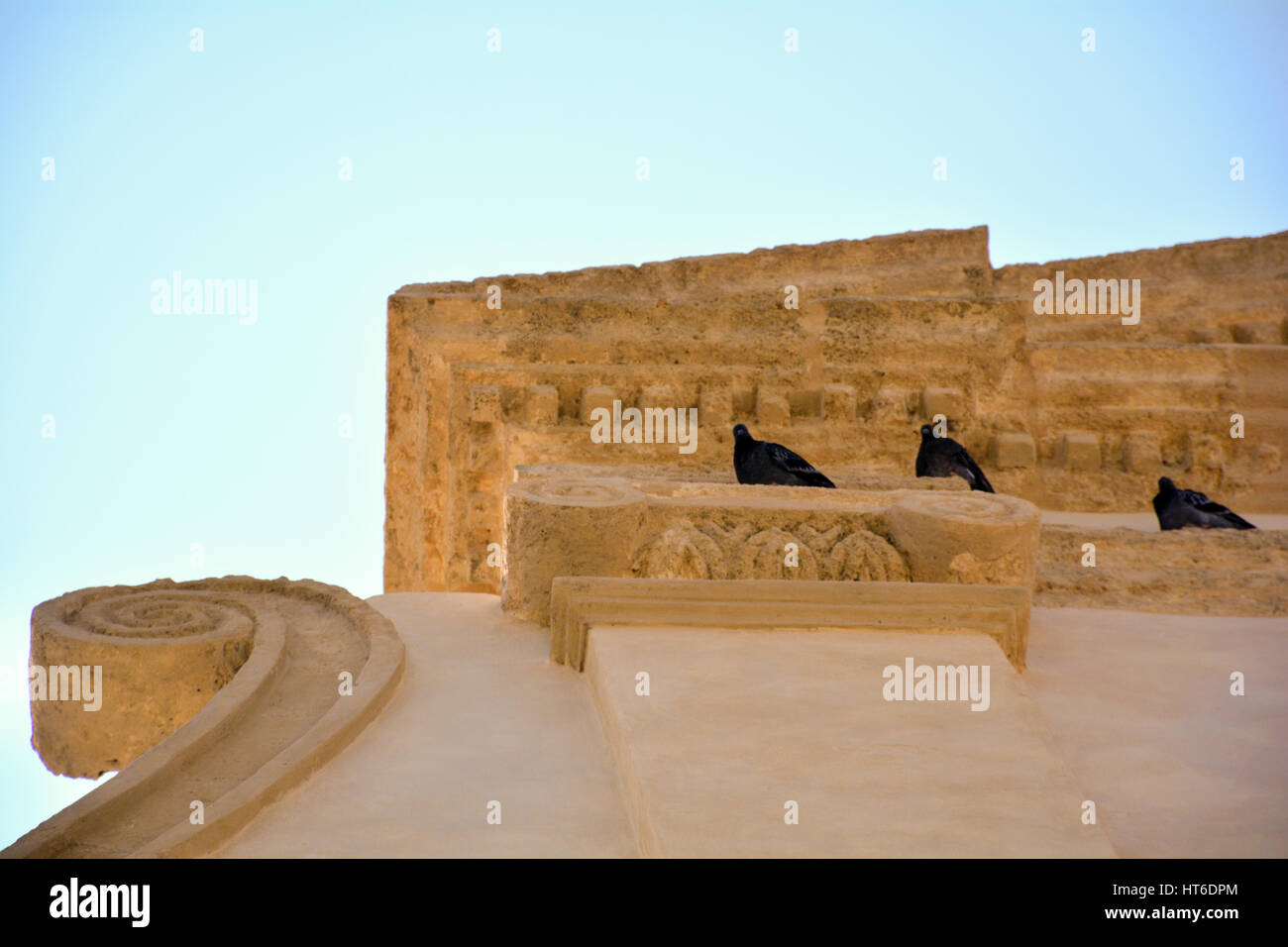 Pigeons on medieval Italian building Stock Photo - Alamy