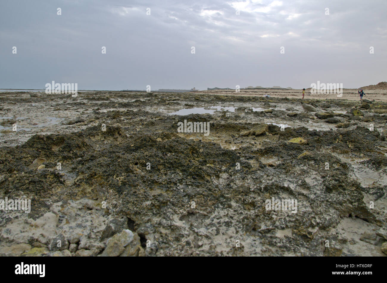 Beautiful Rocky beach of Al Ghariyah, Qatar Stock Photo - Alamy