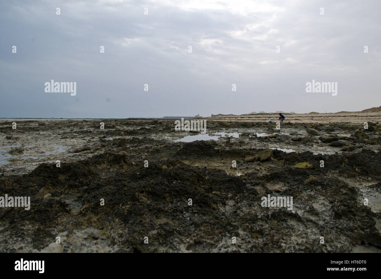 Beautiful Rocky beach of Al Ghariyah, Qatar Stock Photo - Alamy