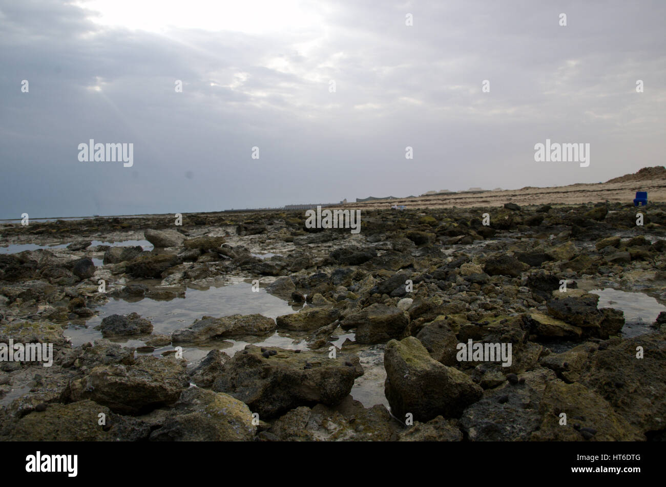 Beautiful Rocky beach of Al Ghariyah, Qatar Stock Photo - Alamy