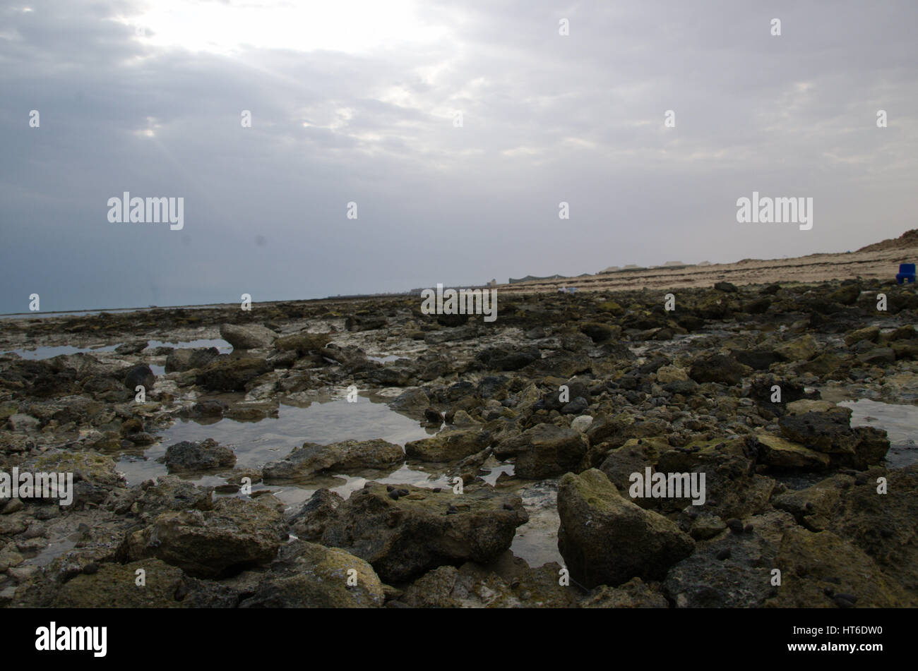 Beautiful Rocky beach of Al Ghariyah, Qatar Stock Photo - Alamy