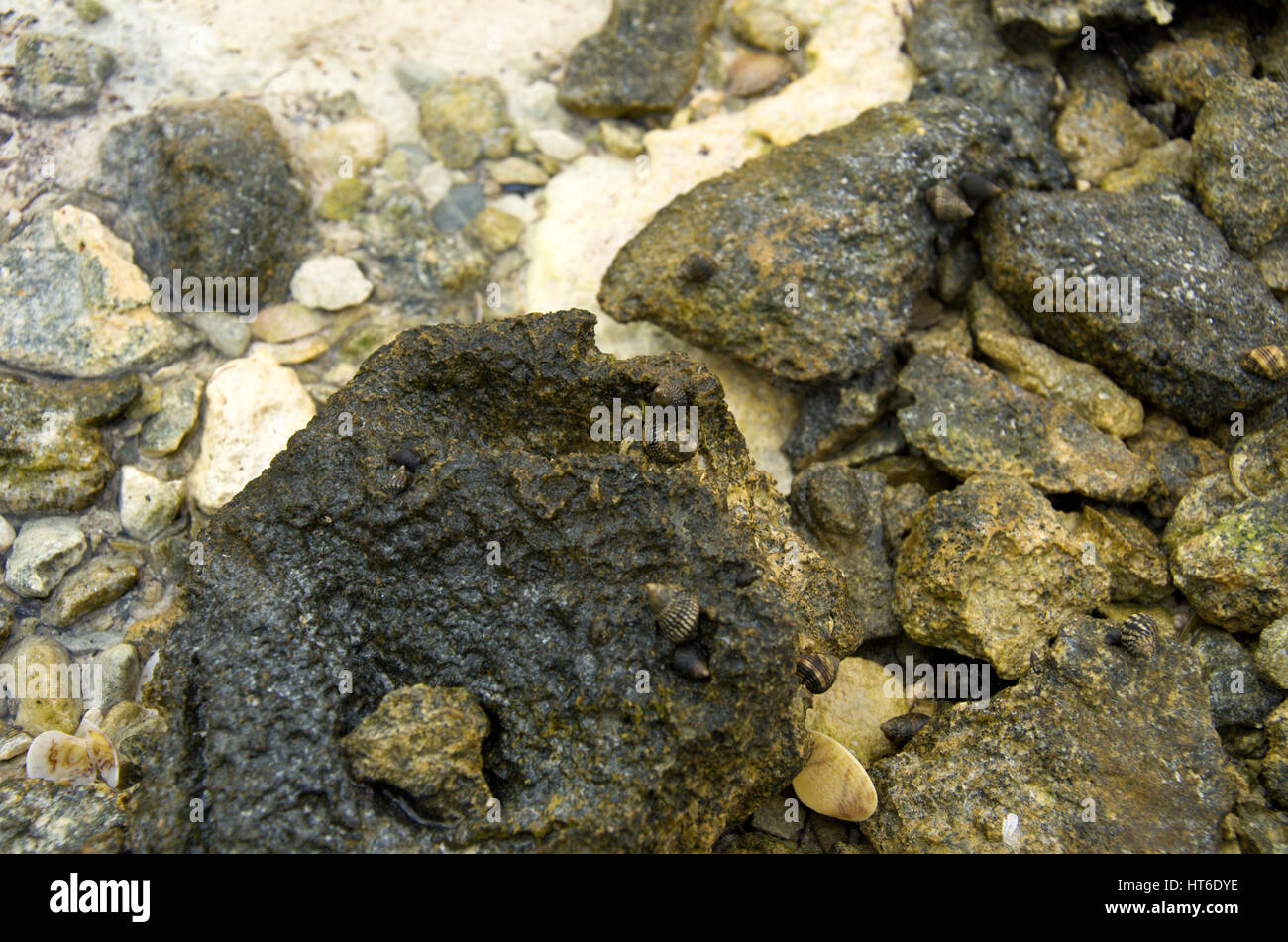 Colourful volcanic rocks on the beach of Al Ghariyah, Qatar Stock Photo ...