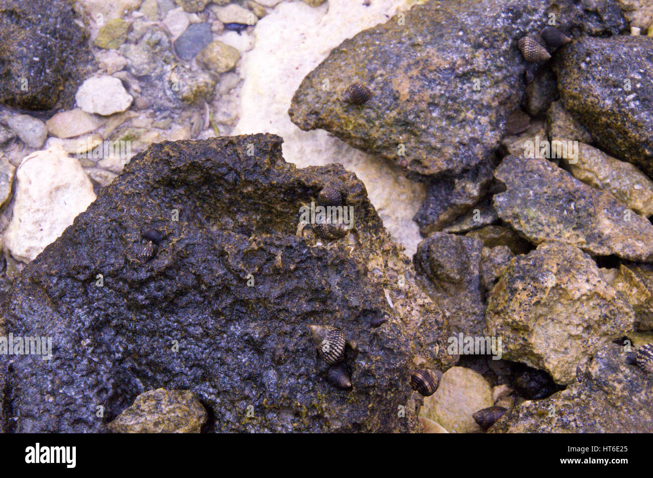 Colourful volcanic rocks on the beach of Al Ghariyah, Qatar Stock Photo ...