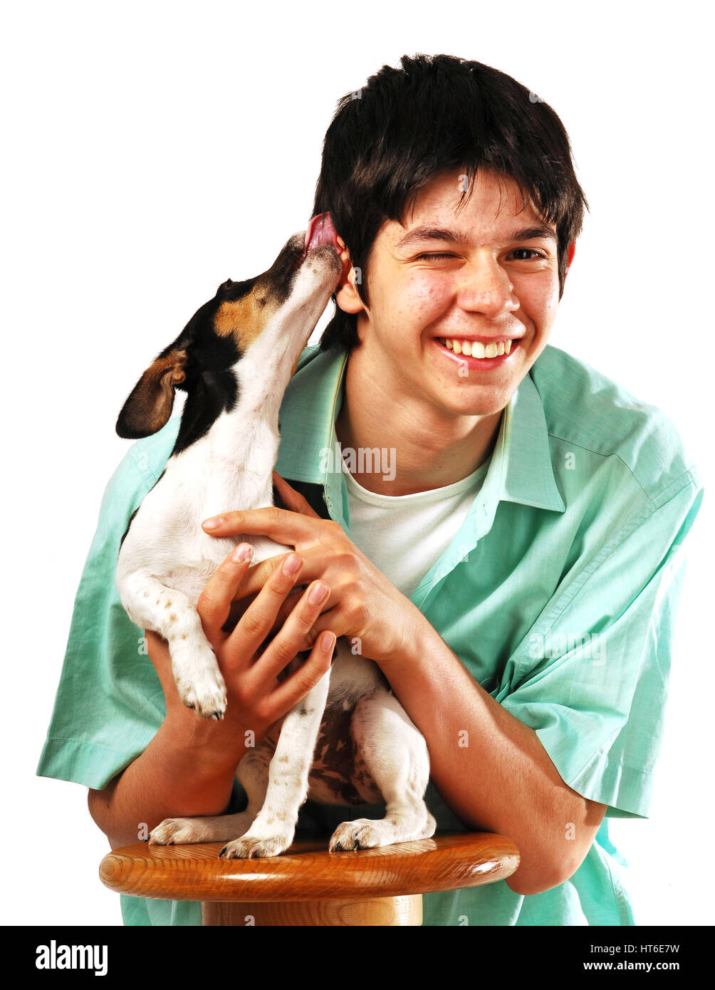 boy plays with jack russell dog Stock Photo - Alamy