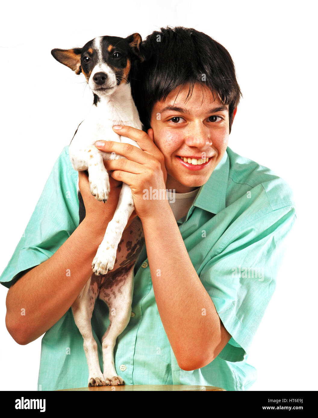 boy plays with jack russell dog Stock Photo - Alamy