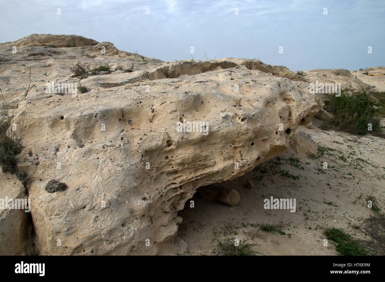 Ghariya hi-res stock photography and images - Alamy
