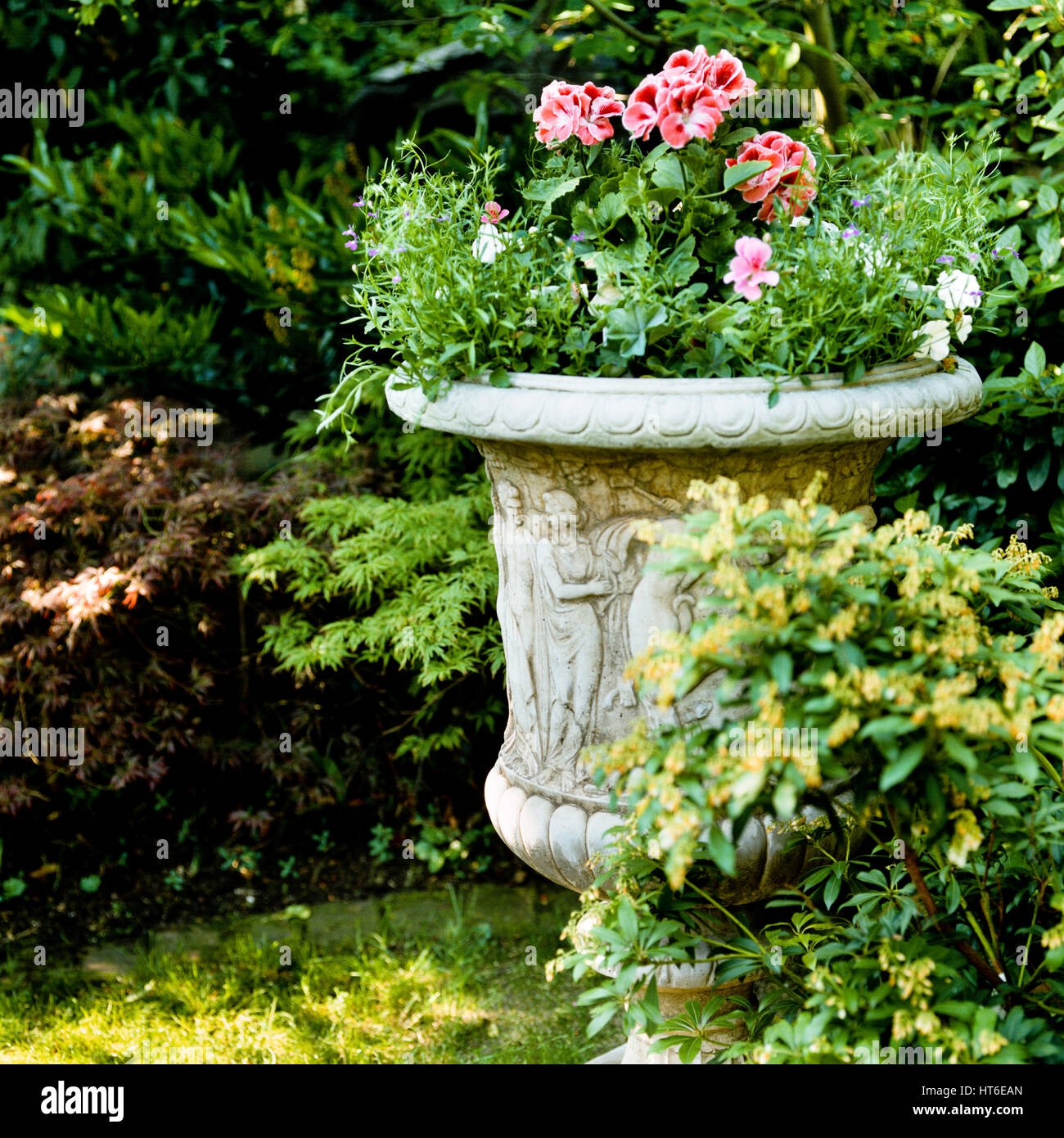 Ornamental planting for the garden hi-res stock photography and images ...