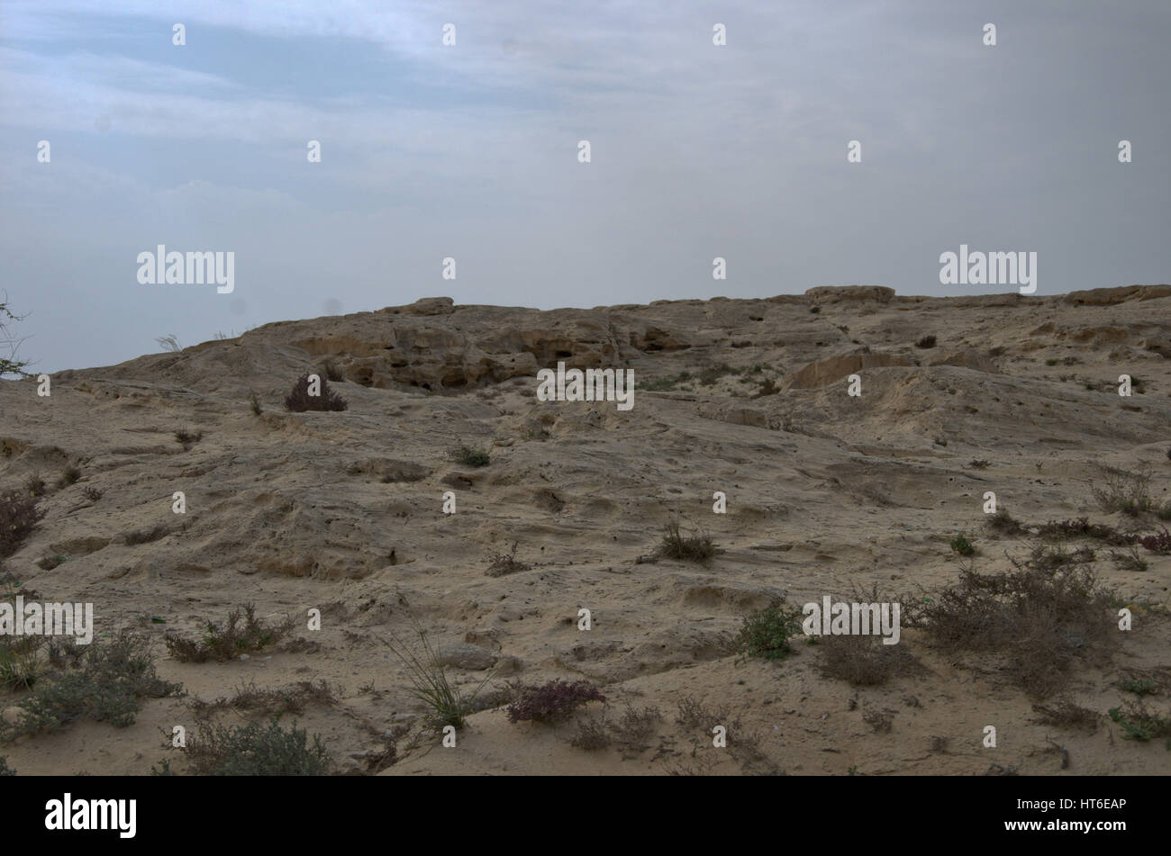 Volcanic rocks on the beach of Al-Ghariya, Qatar Stock Photo - Alamy