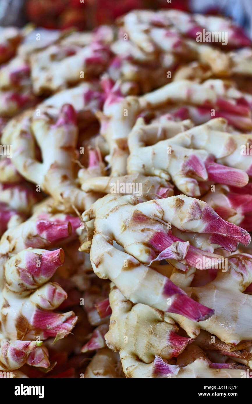 Young ginger root hi-res stock photography and images - Alamy