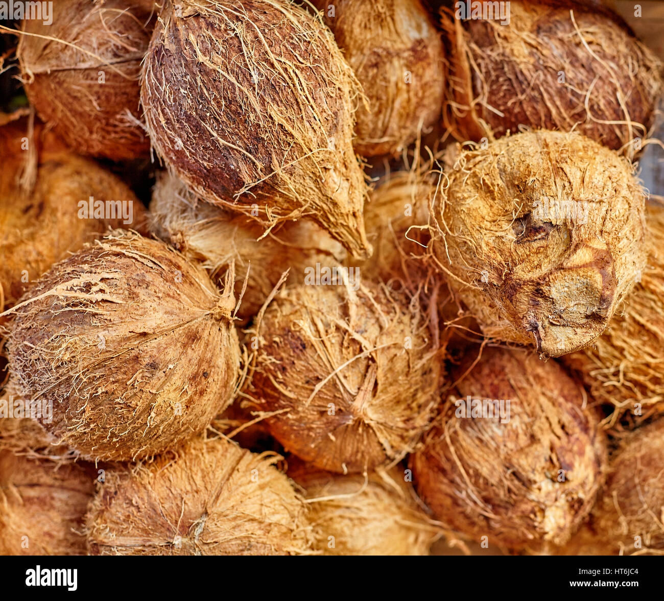 Farmers Market fresh Hawaiian Coconuts detail closeup Stock Photo - Alamy