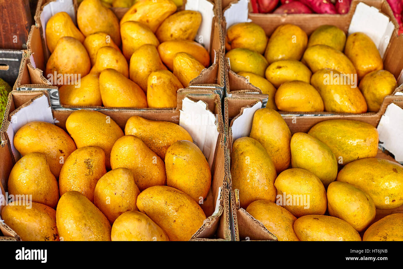 Tropical island fresh cold mango fruit at farmers market Stock Photo ...