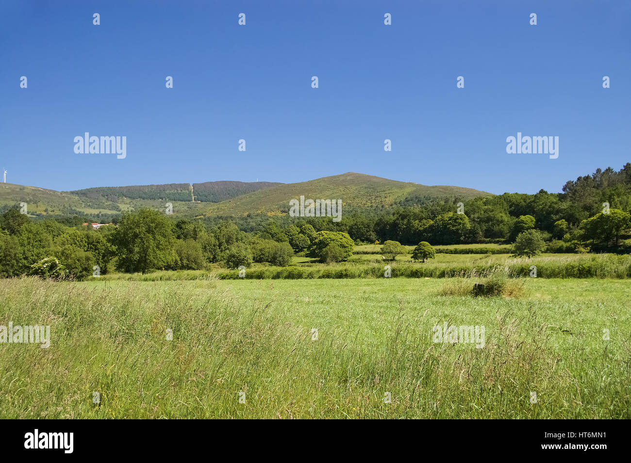Rodeiro hi-res stock photography and images - Alamy