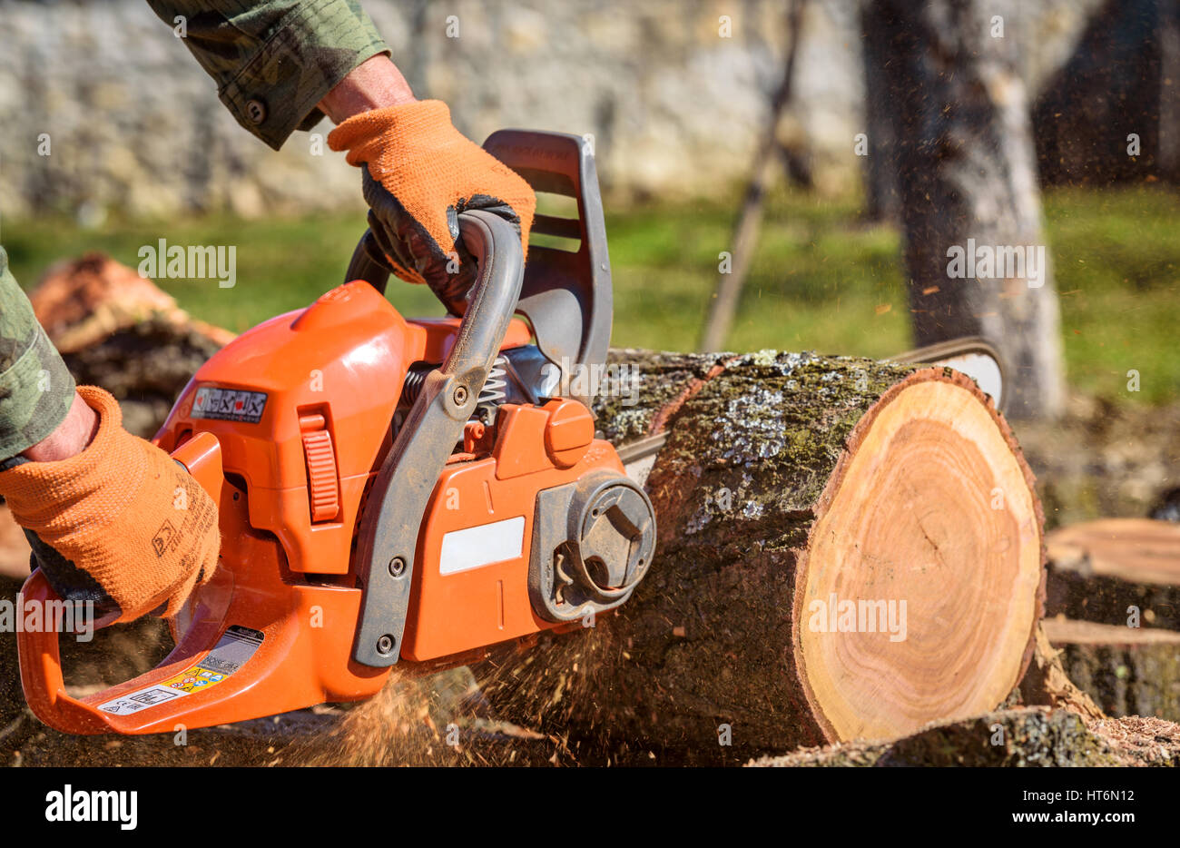 Close-up professional chainsaw blade cutting log of wood Stock Photo ...