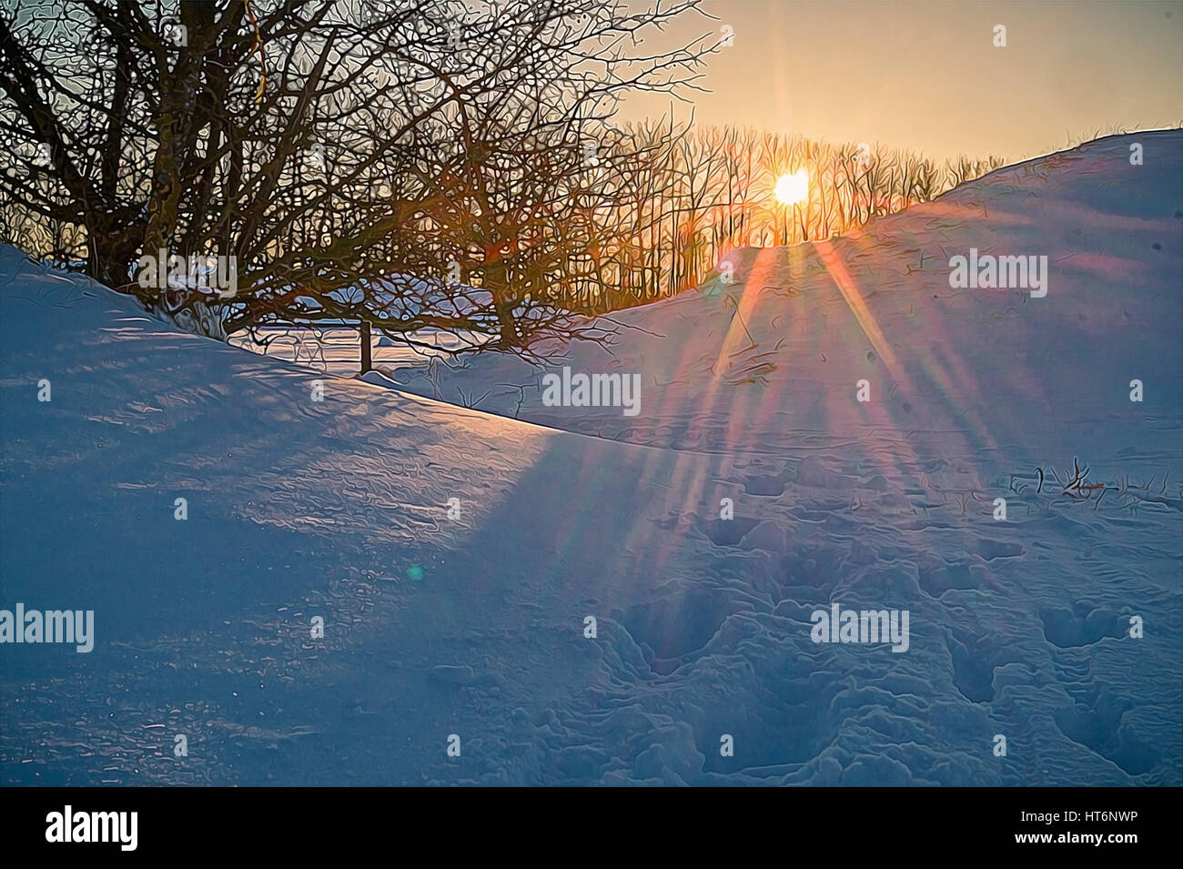Winter landscape in snow nature with sun and tree Stock Photo - Alamy