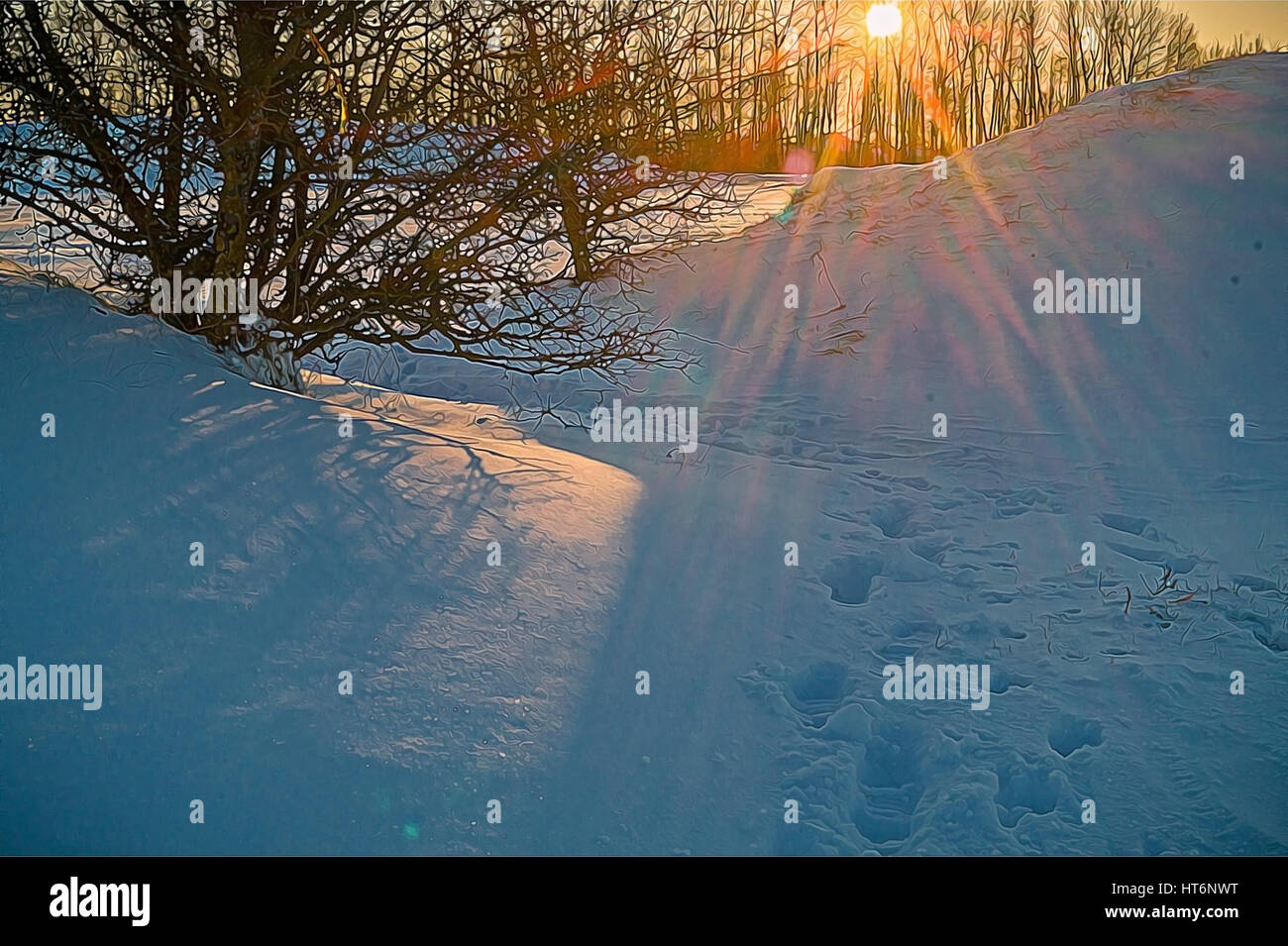Winter landscape in snow nature with sun and tree Stock Photo - Alamy