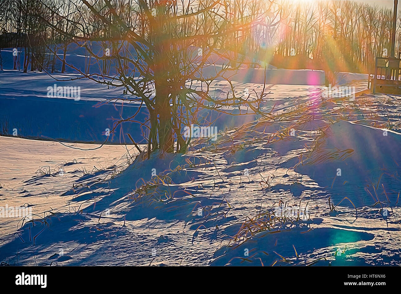 Winter landscape in snow nature with sun and tree Stock Photo - Alamy