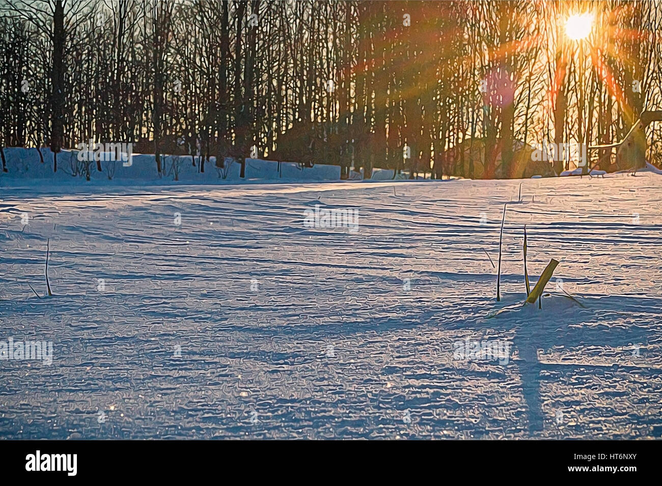 Winter landscape in snow nature with sun and tree Stock Photo - Alamy