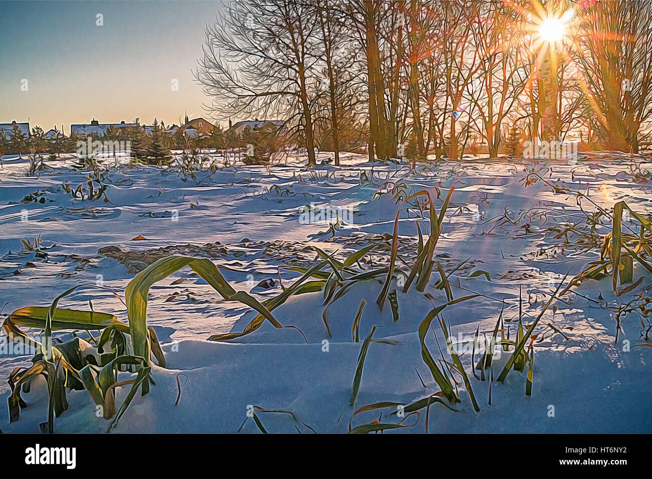 Winter landscape in snow nature with sun and tree Stock Photo - Alamy
