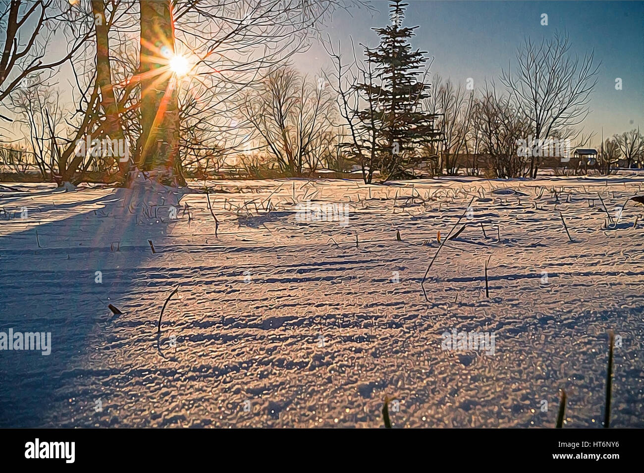 Winter landscape in snow nature with sun and tree Stock Photo - Alamy