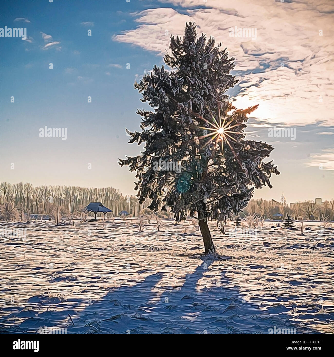 Winter landscape in snow nature with sun and tree Stock Photo - Alamy