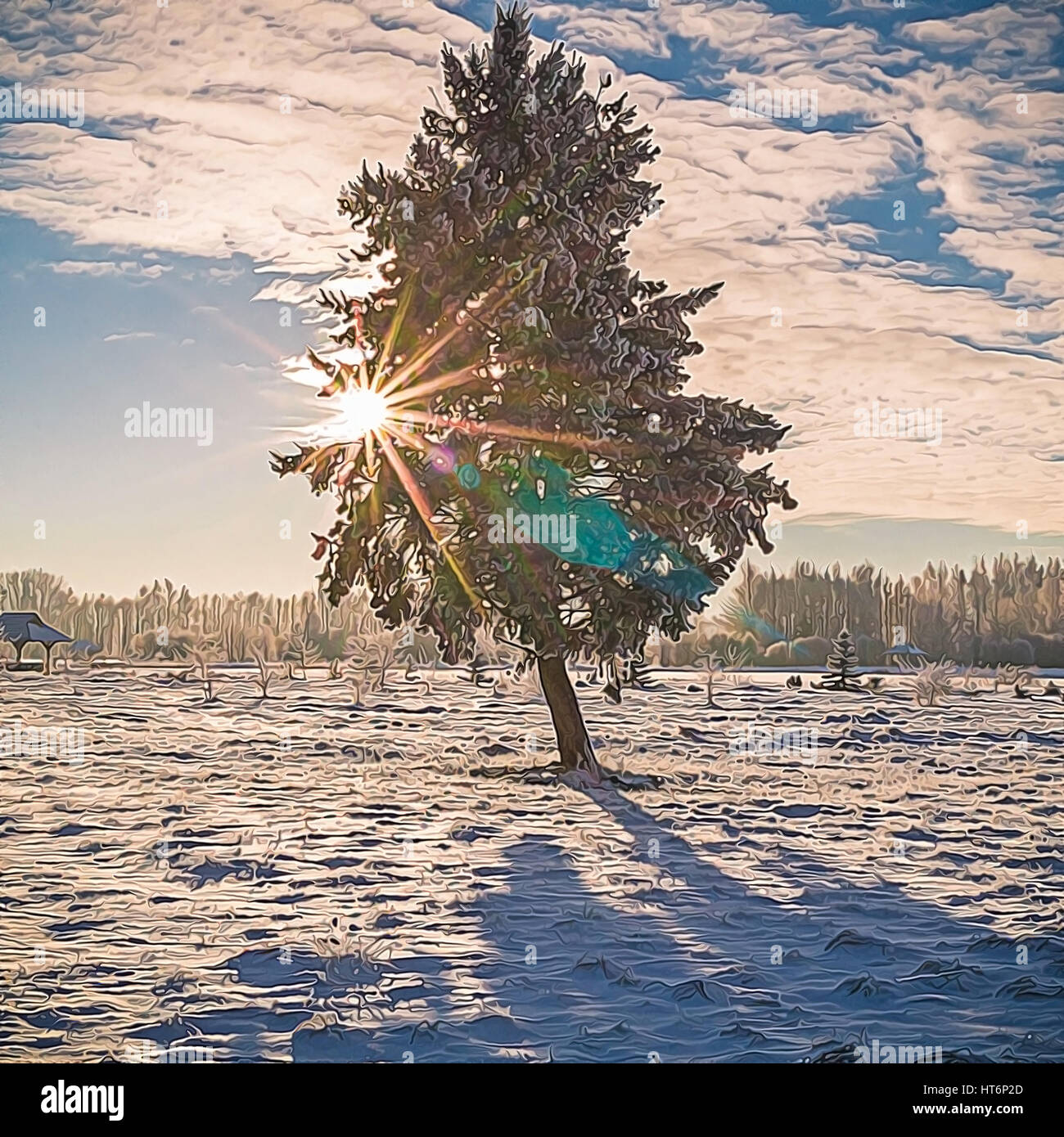 Winter landscape in snow nature with sun and tree Stock Photo - Alamy