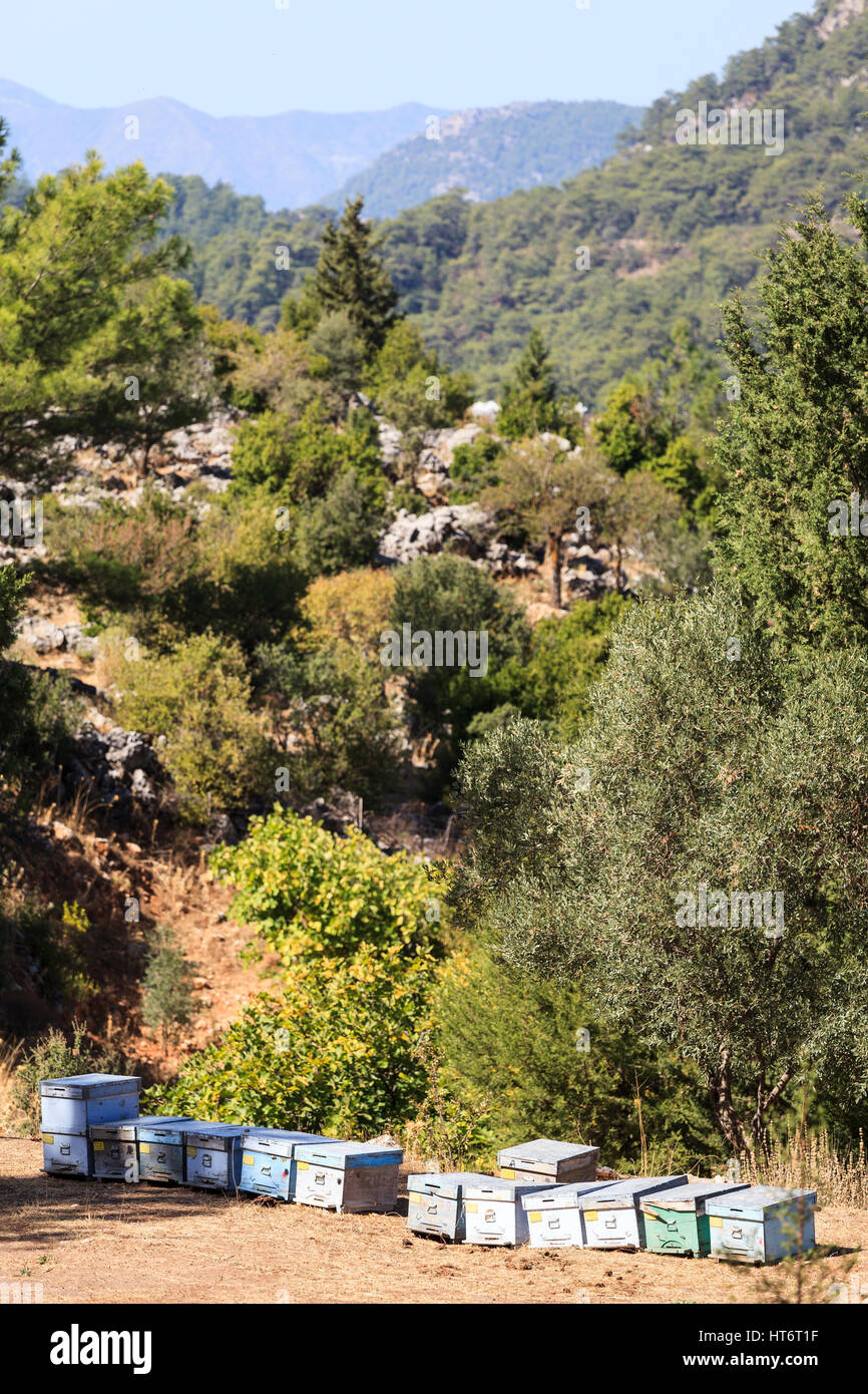 Beehives near Bayer, Bozburun Peninsula, Turkey Stock Photo - Alamy
