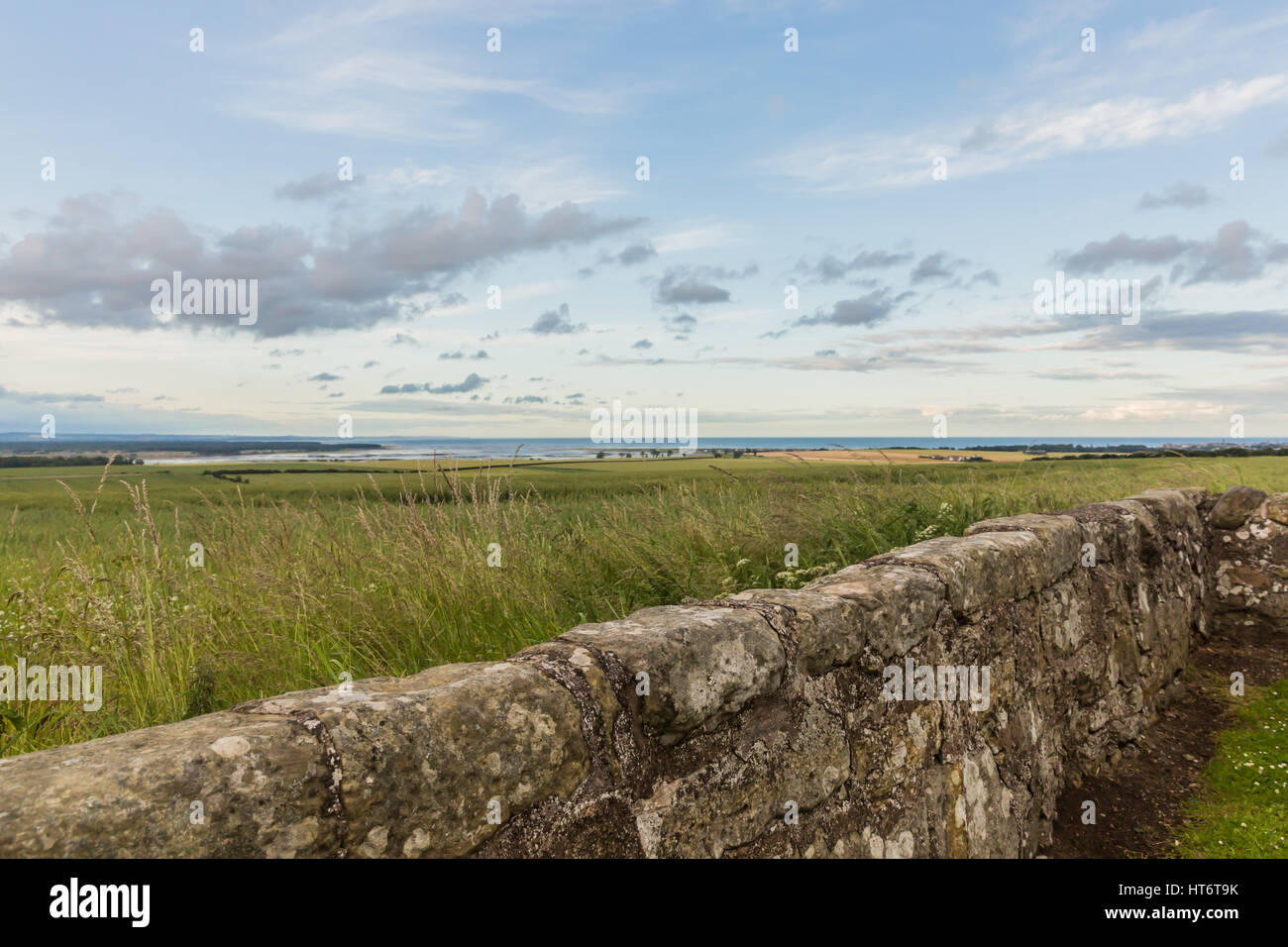 Fields of Barley, Fife Scotland Stock Photo - Alamy