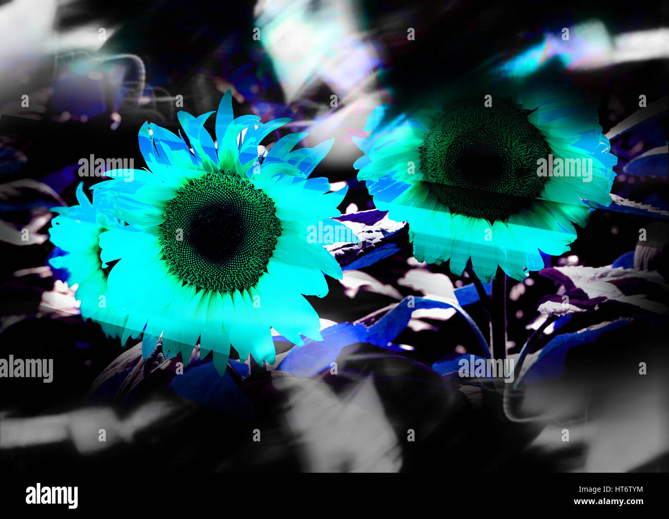 arrangement,art,close-up,color,colour,complex,layer,concept ...