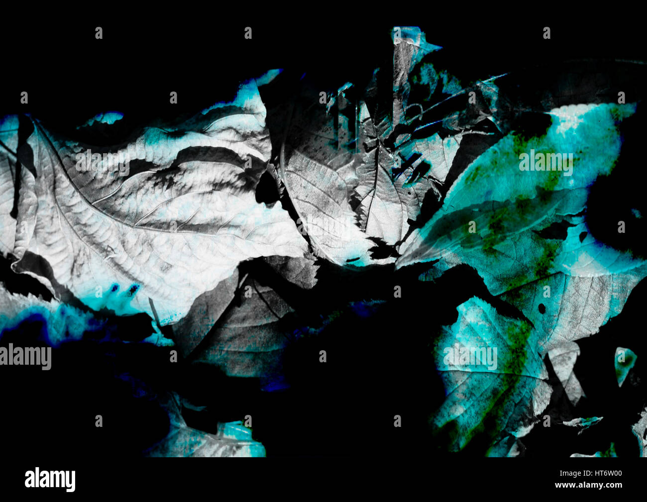 arrangement,art,color,colour,complex,layer,leaves,concept,conceptualize ...