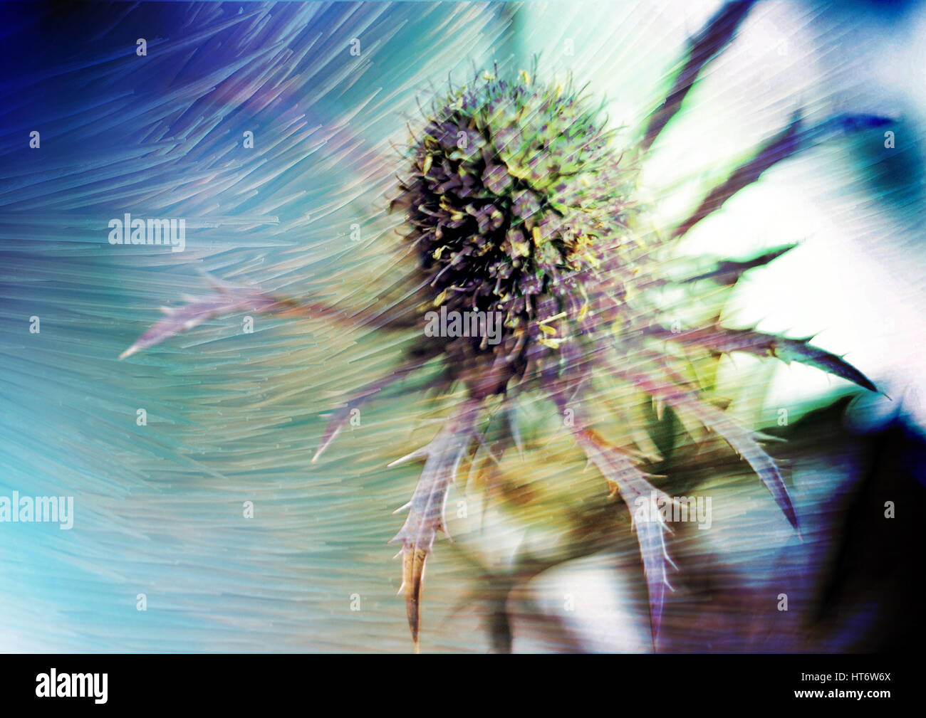 arrangement,art,bus,color,colour,complex,layer,concept,conceptualize ...