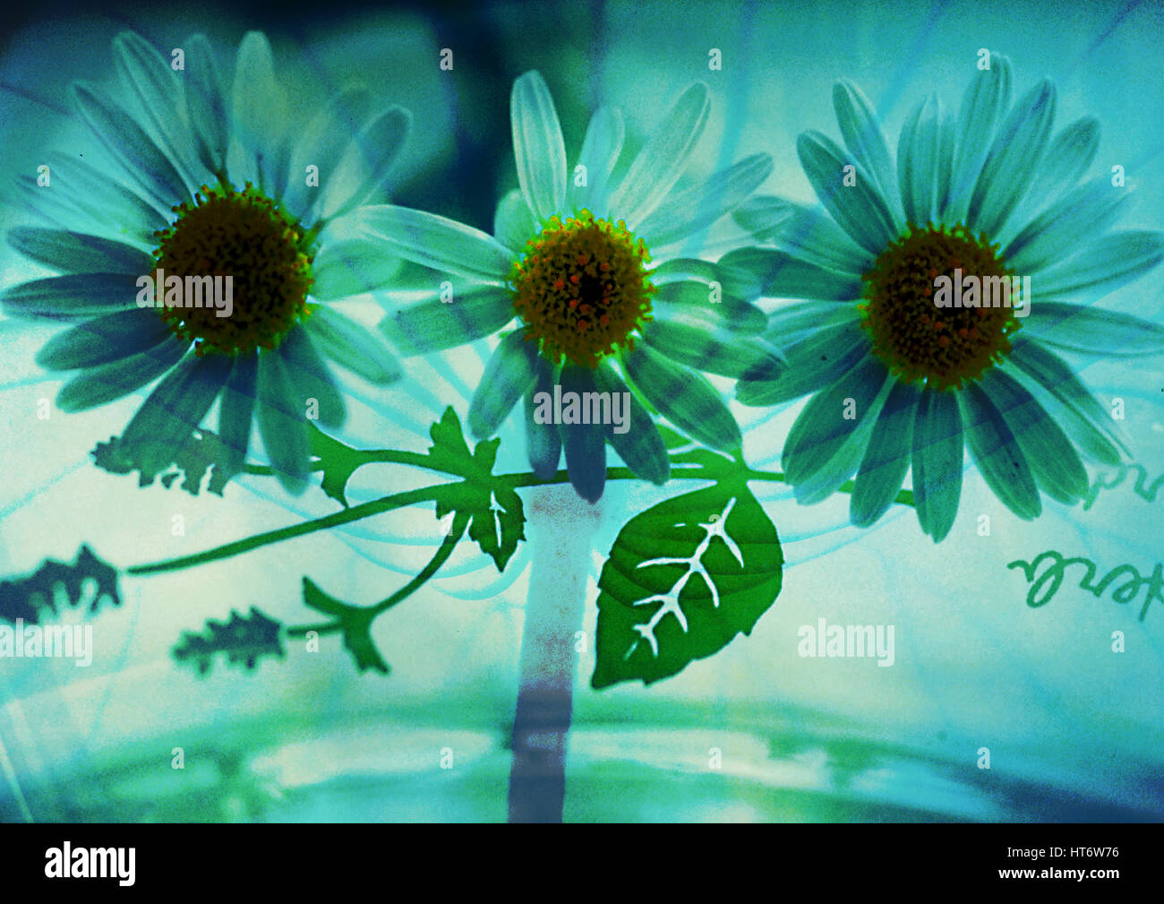 arrangement,art,color,colour,complex,layer,concept,conceptualize ...
