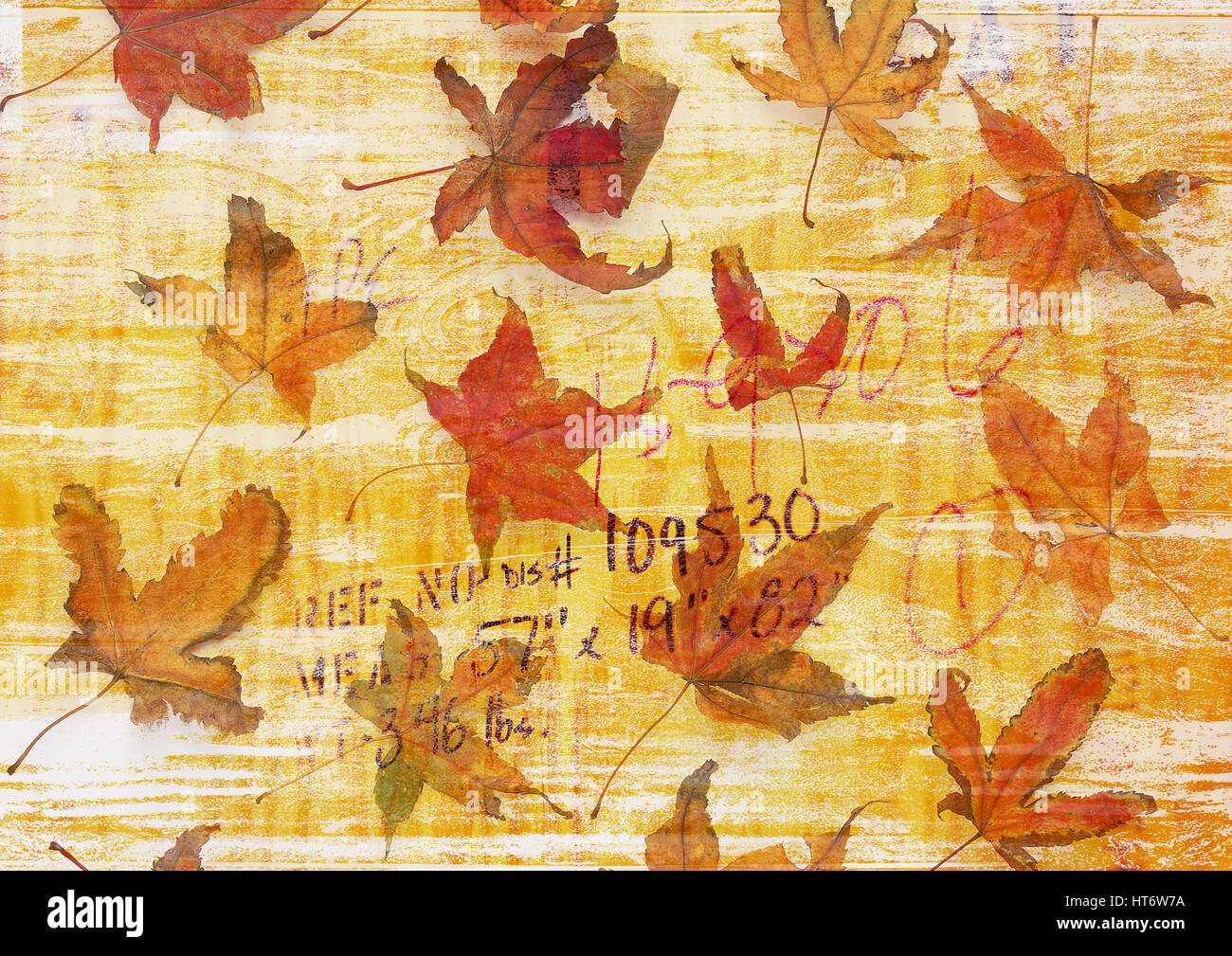 arrangement,art,color,colour,complex,layer,concept,conceptualize ...