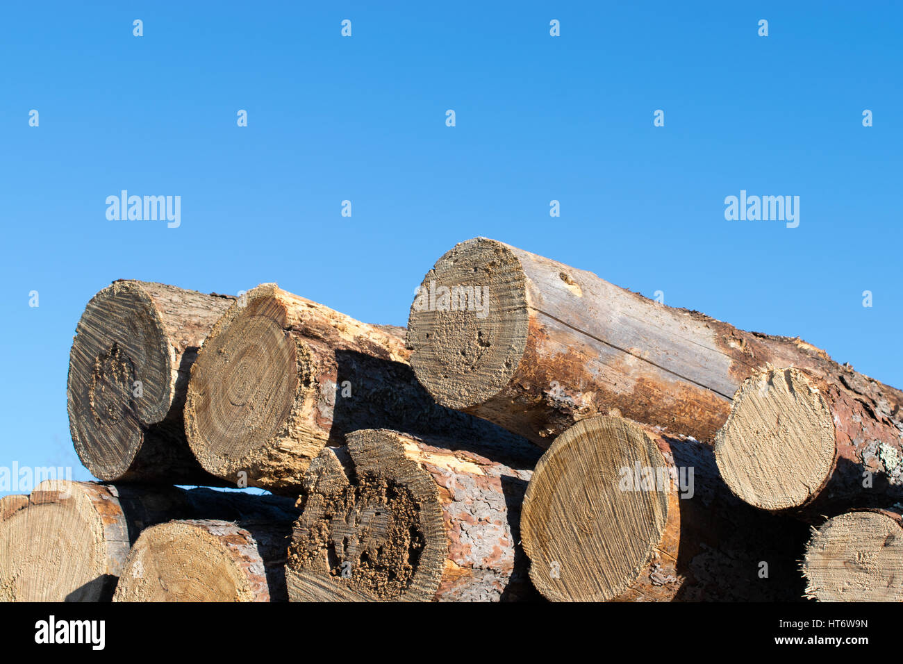Tamarack log pile hi-res stock photography and images - Alamy
