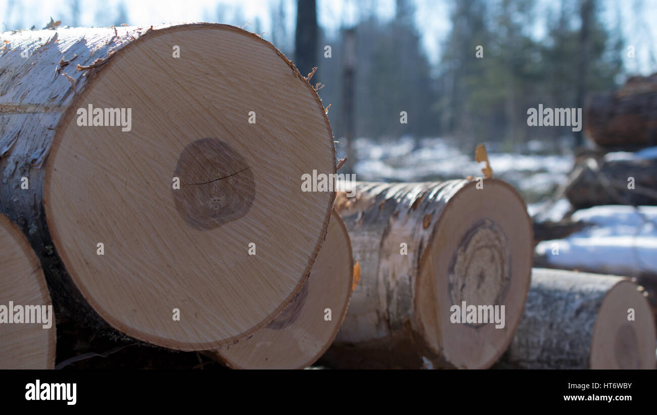 Log Landing High Resolution Stock Photography and Images - Alamy