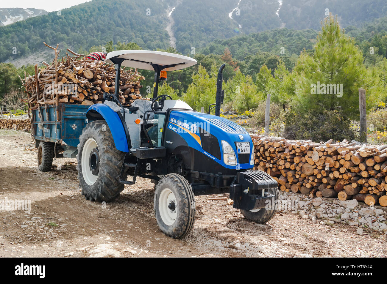 tractor loaded wood in the forest Stock Photo - Alamy