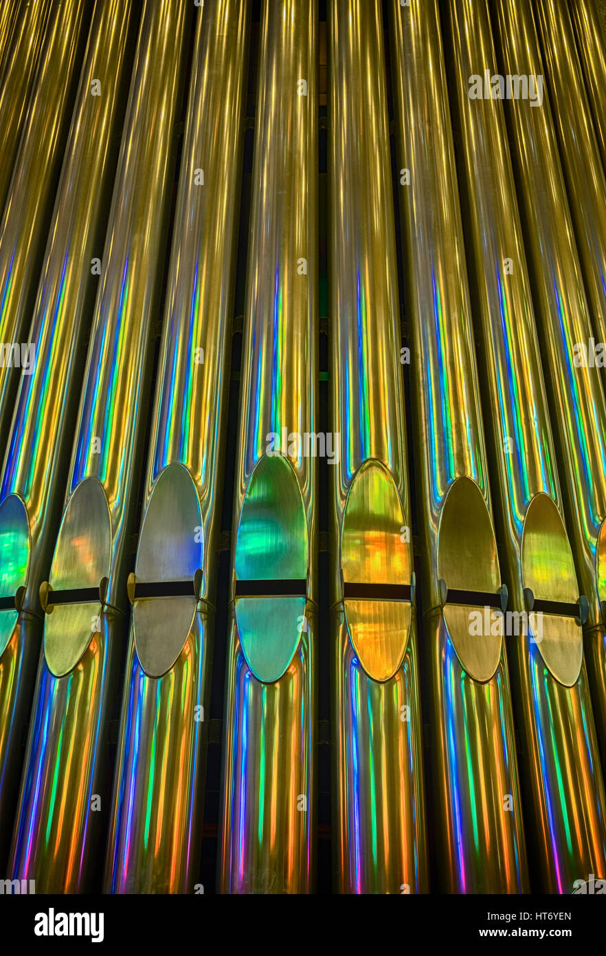 The pipes on a full pipe organ glow with yellow brass and bright ...
