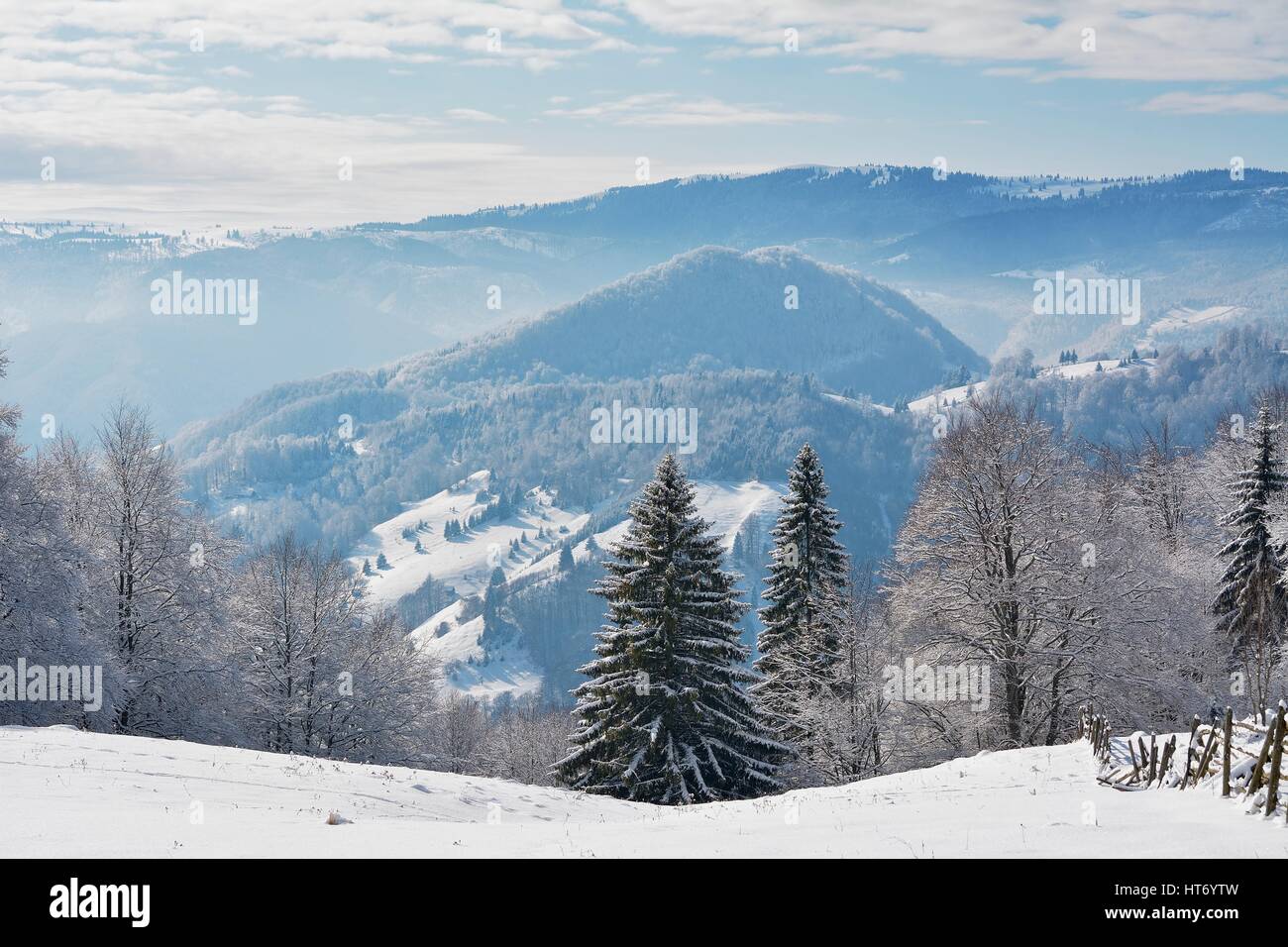 Beautifull winter rural landscape with snow covered trees Stock Photo ...
