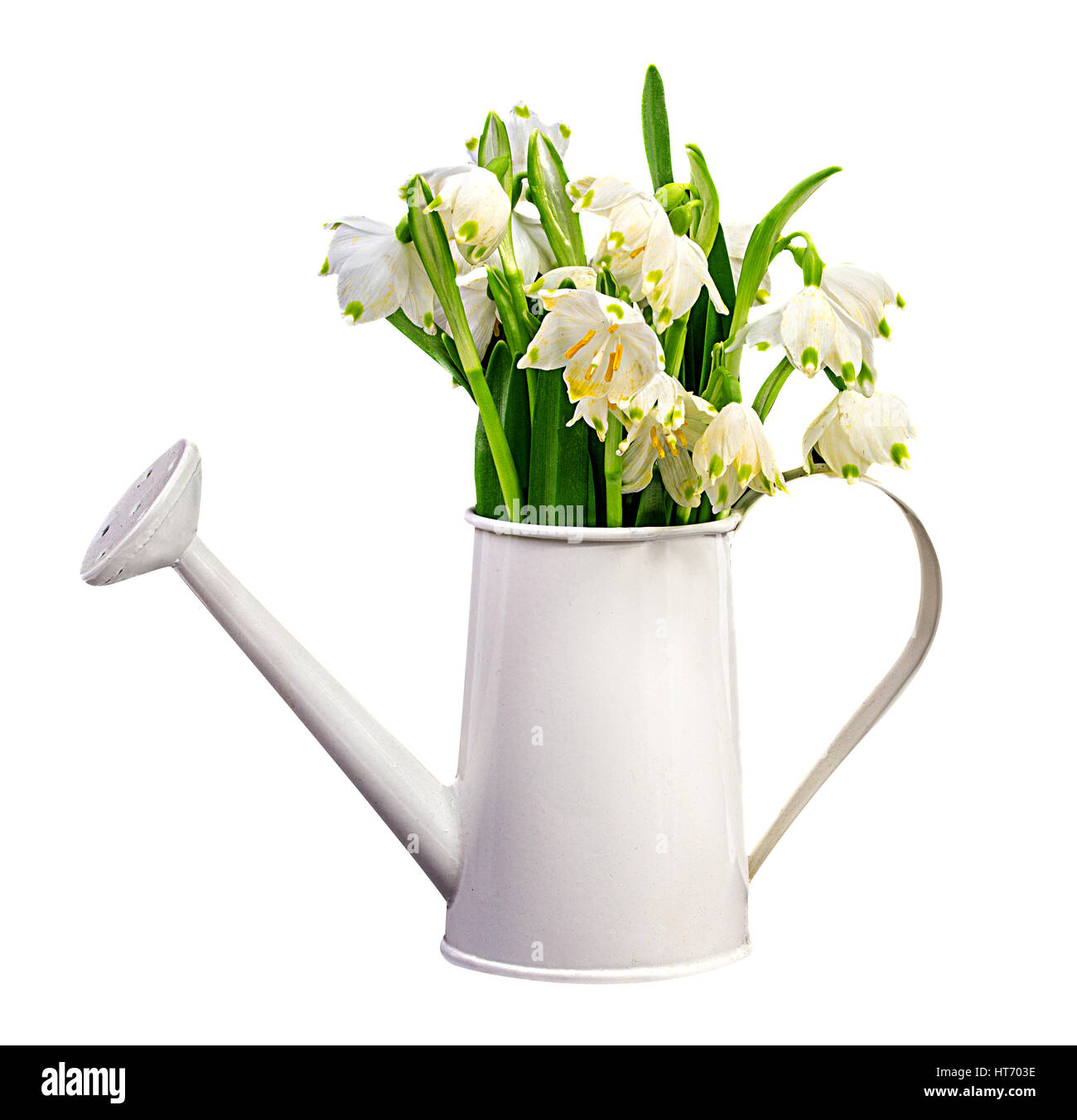 Bouquet of snowdrops hi-res stock photography and images - Alamy